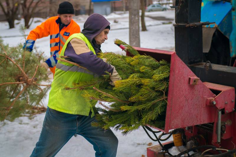 Как утилизируют новогодние елки в городах России